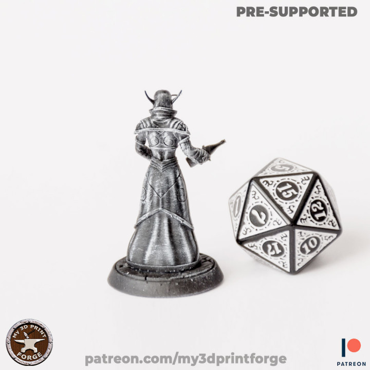 3D Printable Nightborne Elf Female Merchant Two Models by My3DPrintForge