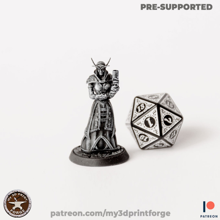 3D Printable Nightborne Elf Female Merchant Two Models by My3DPrintForge