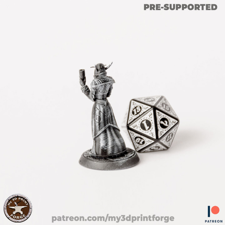 3D Printable Nightborne Elf Female Merchant Two Models by My3DPrintForge