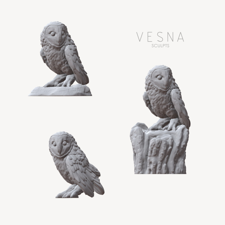 3D Printable Barn Owls Set by VESNA SCULPTS
