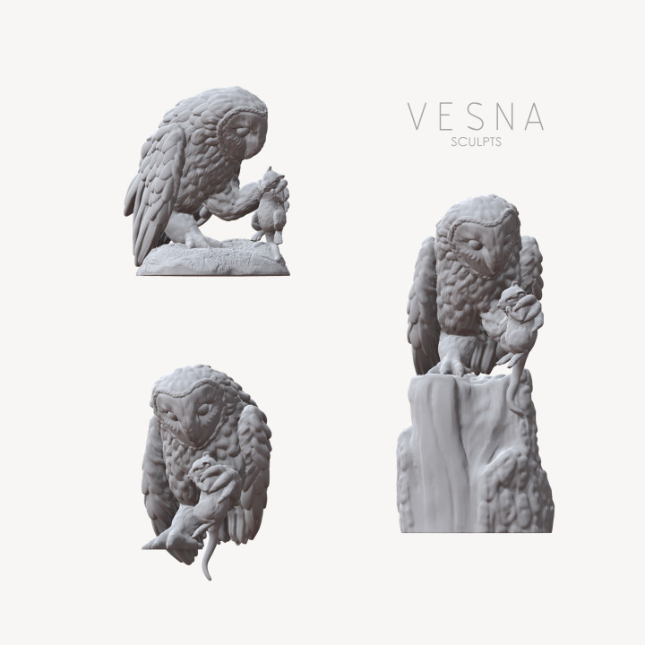 3D Printable Barn Owls Set by VESNA SCULPTS