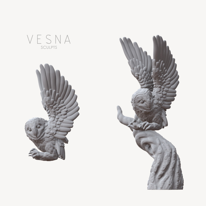 3D Printable Barn Owls Set by VESNA SCULPTS