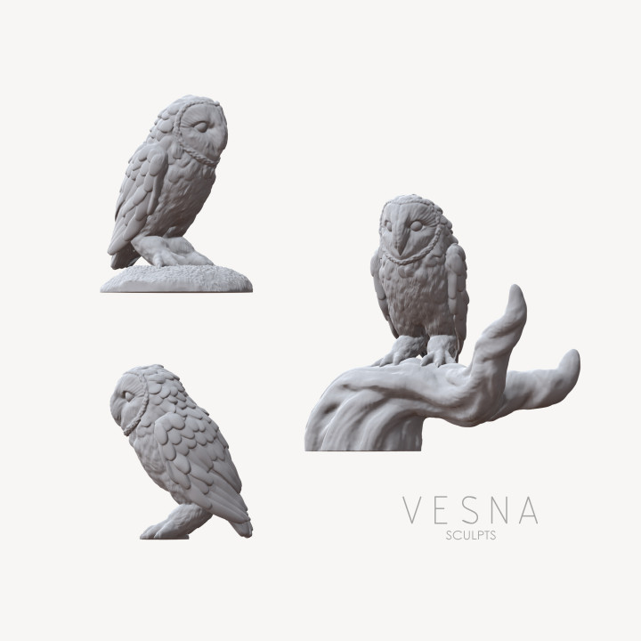3D Printable Barn Owls Set by VESNA SCULPTS