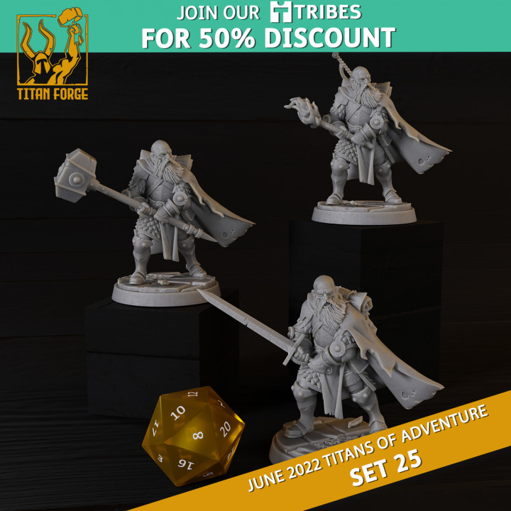 3D Printable RPG - DnD Hero Characters - Titans of Adventure Set 25 by ...
