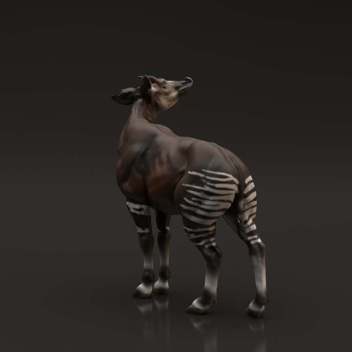 3D Printable Okapi by Animal Den Miniatures