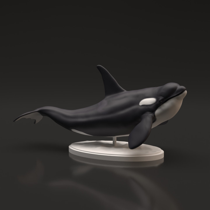 3D Printable Orca by Animal Den Miniatures
