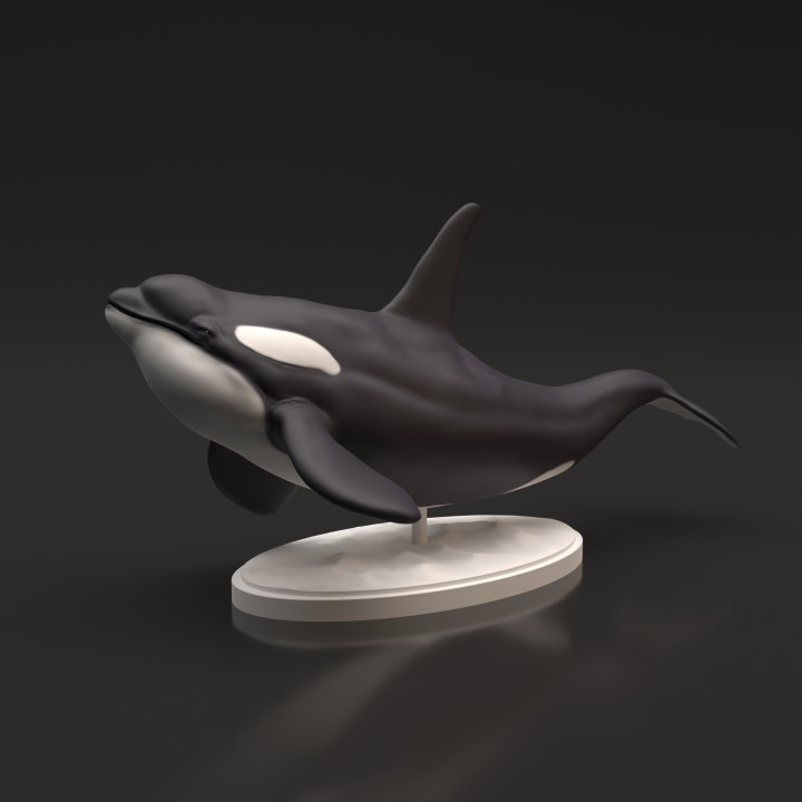 3D Printable Orca by Animal Den Miniatures