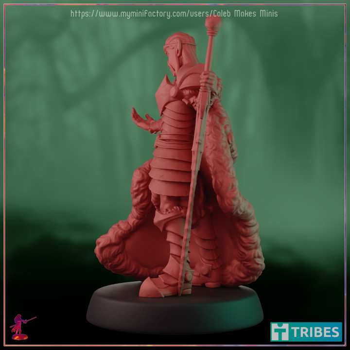 3D Printable Winter Eladrin Paladin [PRE-SUPPORT] | Feywild Series by ...