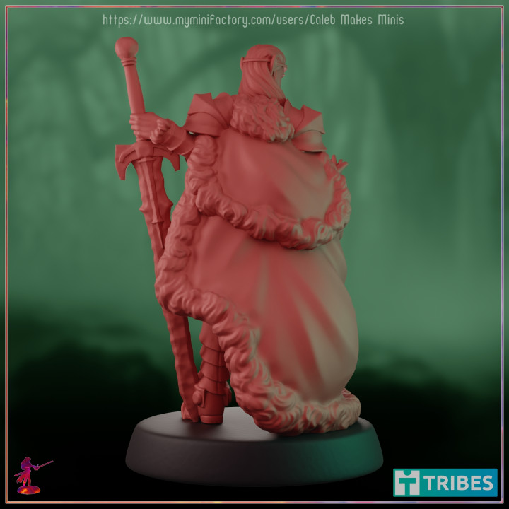 3D Printable Winter Eladrin Paladin [PRE-SUPPORT] | Feywild Series by ...