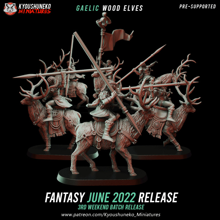 3D Printable June 2022 Fantasy Release - Gaelic Wood Elf Army by ...