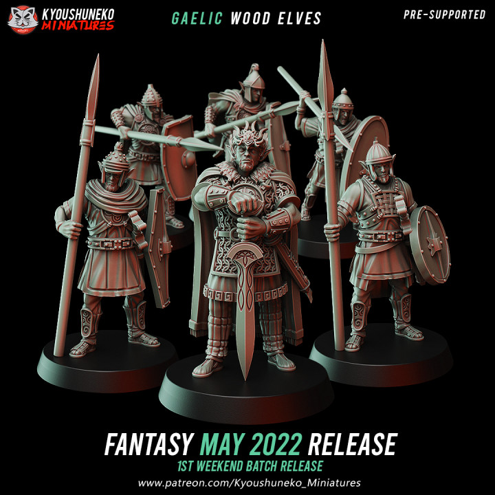 3D Printable June 2022 Fantasy Release - Gaelic Wood Elf Army by ...