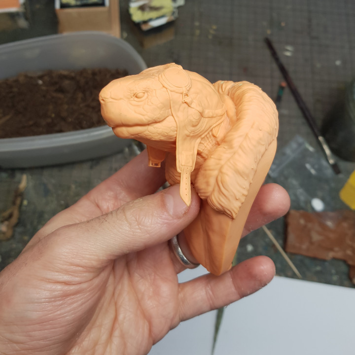 3D Printable SkyDreamer - Turtle Pilot by Oliver Spaeth