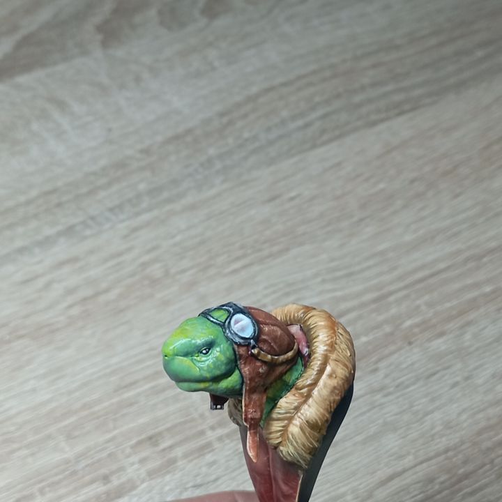 3D Print of SkyDreamer - Turtle Pilot by Vincentus777