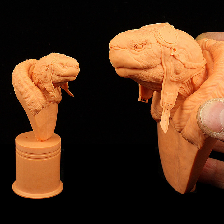 3D Printable SkyDreamer - Turtle Pilot by Oliver Spaeth