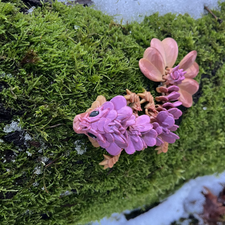 3D Print of Baby Clover Dragon by meganpietrzykowski