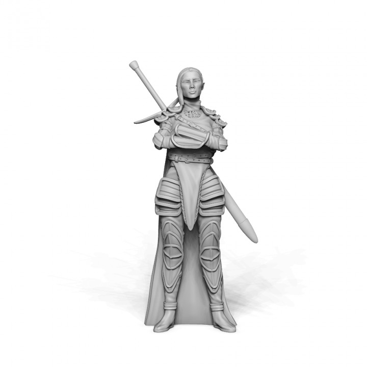 3D Printable Elf Knight - Bandits and Knights Vol.2 Kickstarter by ...