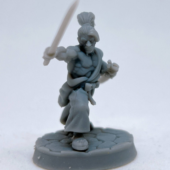 3D Printable Ronin by Willy Kao