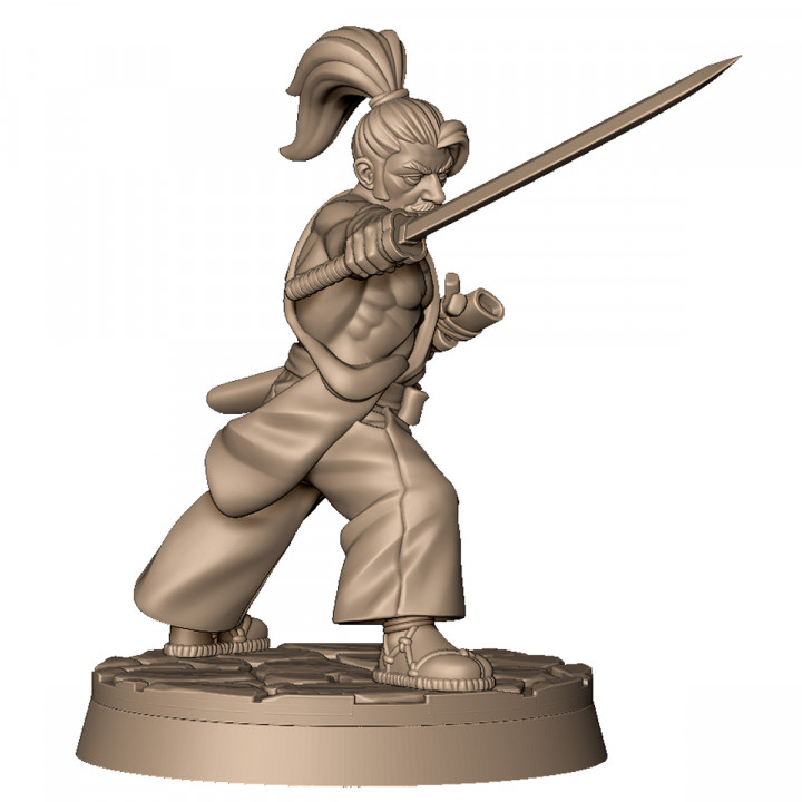 3D Printable Ronin by Willy Kao