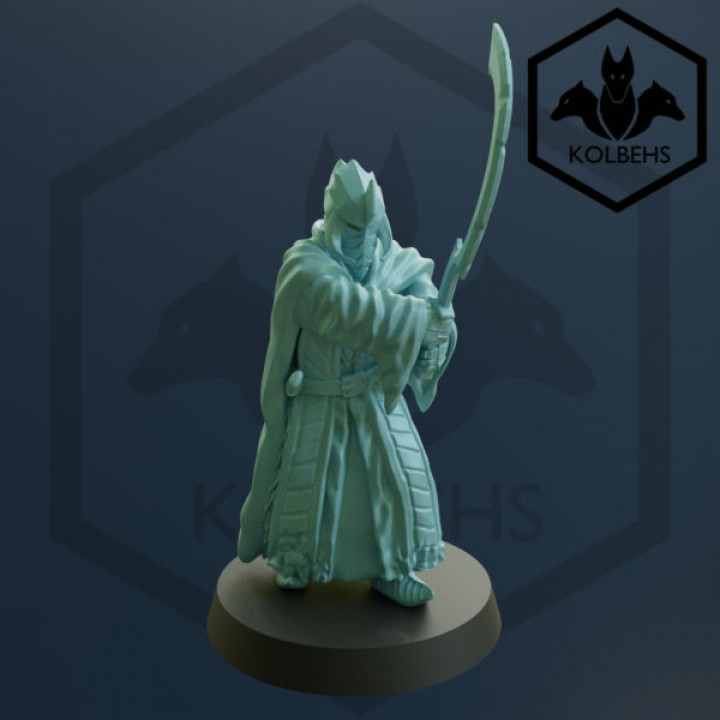 3D Printable Eastern Wraith Lord by Tidrewski Kolbehs