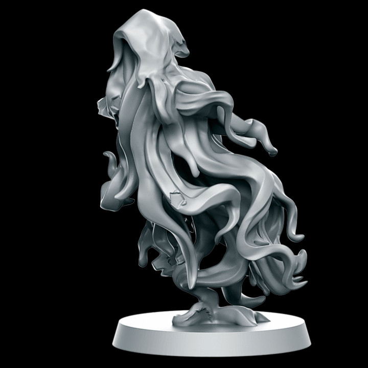 3D Printable Wraith 2 - Fantasy Football 32mm by RN Estudio