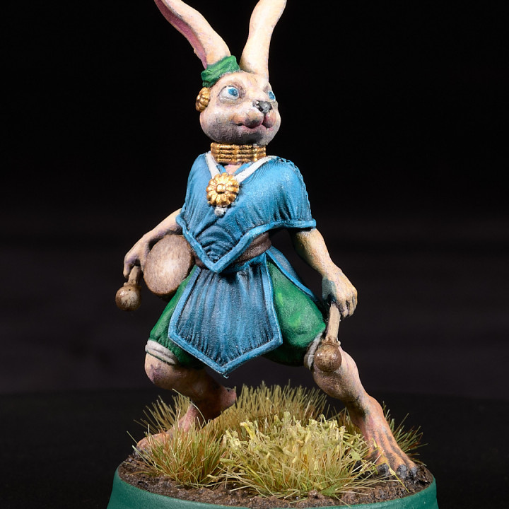 3D Print of Elacott - Rabbitfolk Bard - DnD is a Woman Free STL by ...