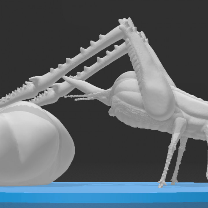3D Printable Giant Cricket by Joseph Cheney