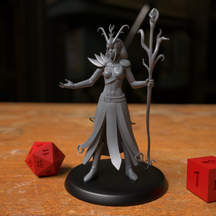 3D Printable Female Elf Wizard Necromancer by Atlas Studios