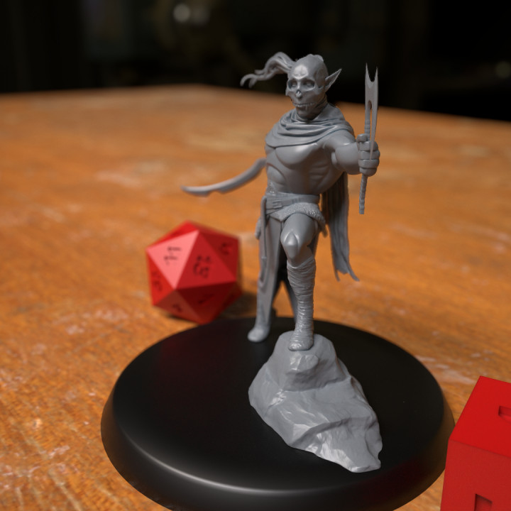 3D Printable Drow Elf Fighter Assassin by Atlas Studios