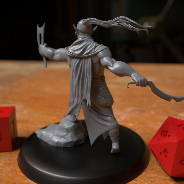 3D Printable Drow Elf Fighter Assassin by Atlas Studios