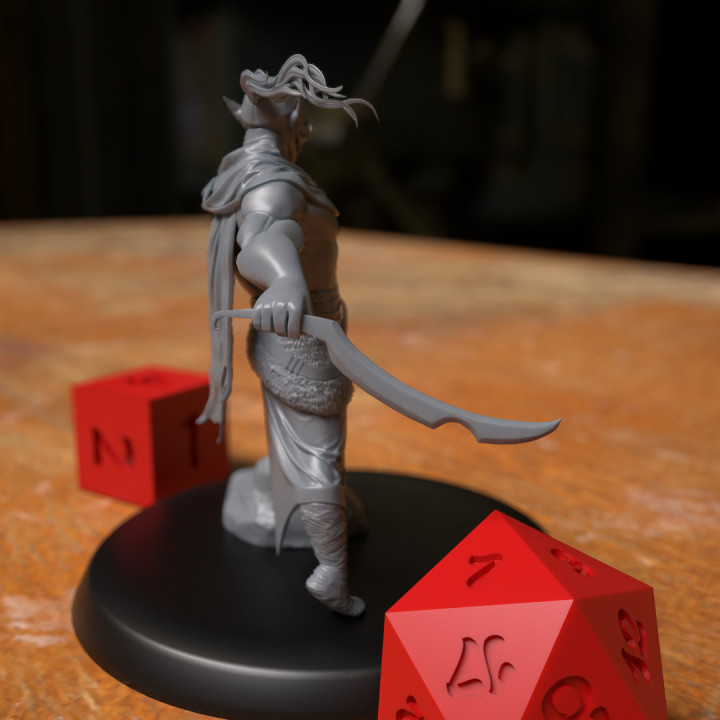 3D Printable Drow Elf Fighter Assassin by Atlas Studios