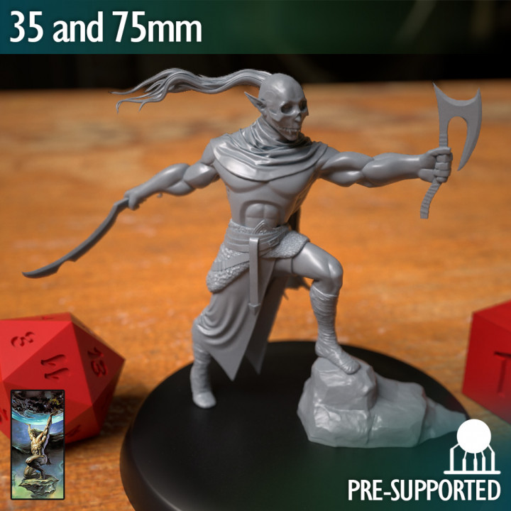 3D Printable Drow Elf Fighter Assassin by Atlas Studios