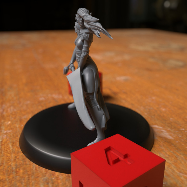 3D Printable Female Elf Fighter Champion by Atlas Studios