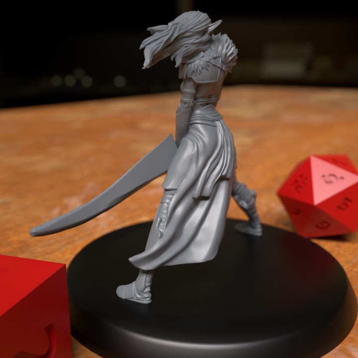 3D Printable Female Elf Fighter Champion by Atlas Studios