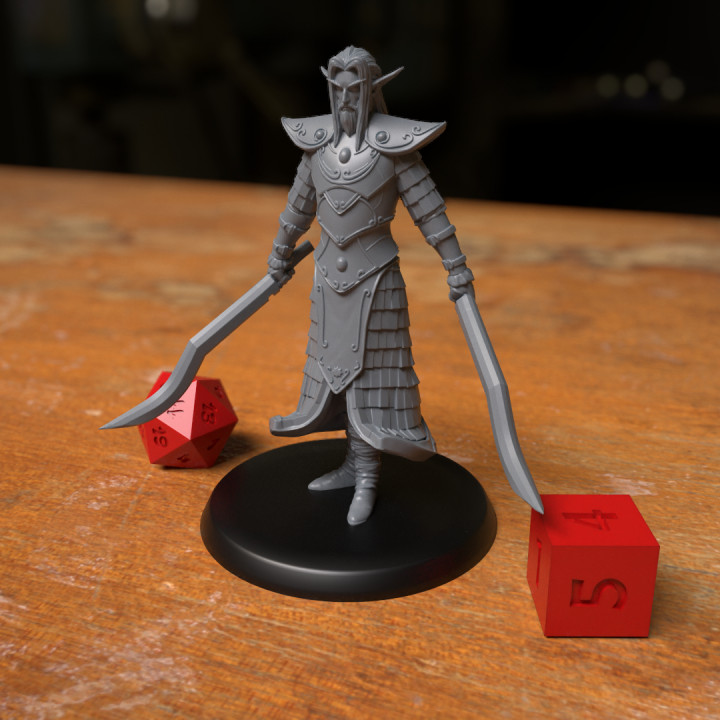 3D Printable Elf Fighter Battle Master by Atlas Studios