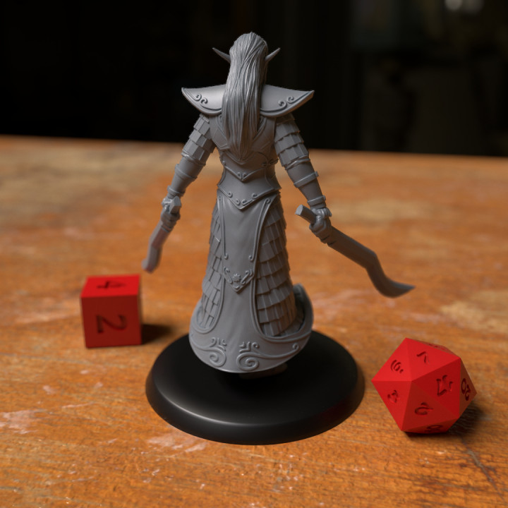 3D Printable Elf Fighter Battle Master by Atlas Studios