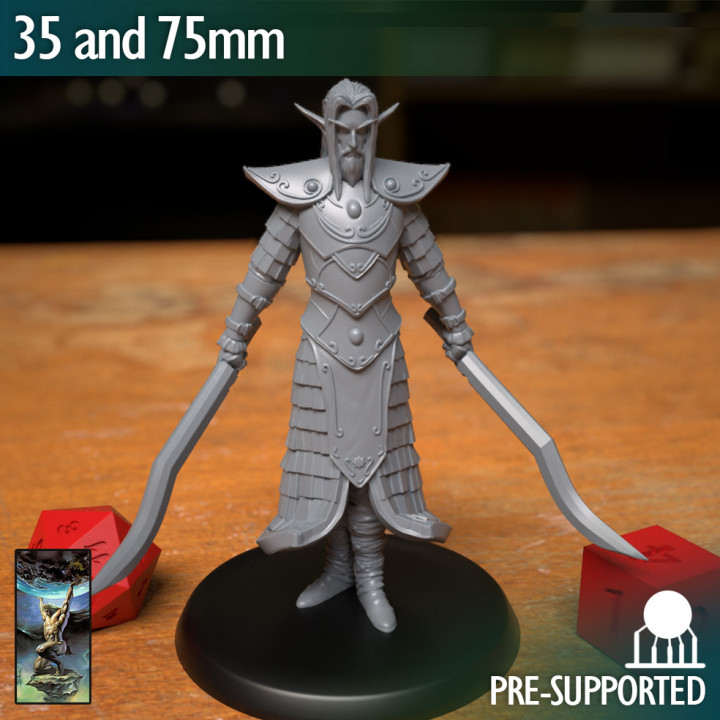 3D Printable Elf Fighter Battle Master by Atlas Studios