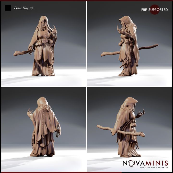 3D Printable Frost Hag 03 by NovaMinis