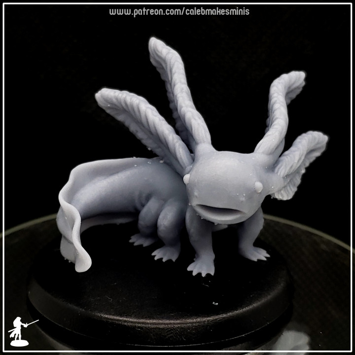 3D Printable Axolotl Series [PRE-SUPPORTED] | Complete Collection ...