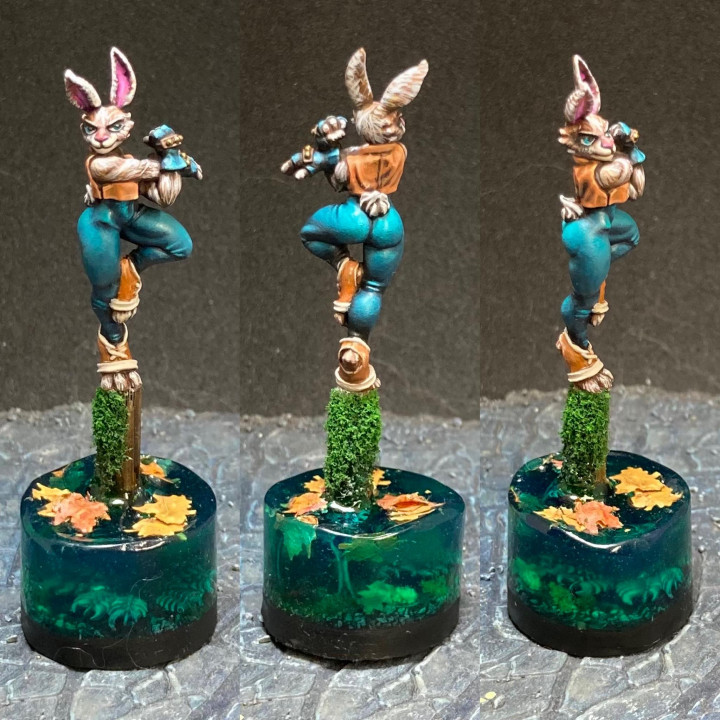 3D Print of Harengon Female Monk - Kataka the female monk ( Female Monk ...