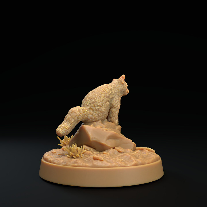 3D Printable Tanuki Red Panda | Animal Companion | PRESUPPORTED by The ...