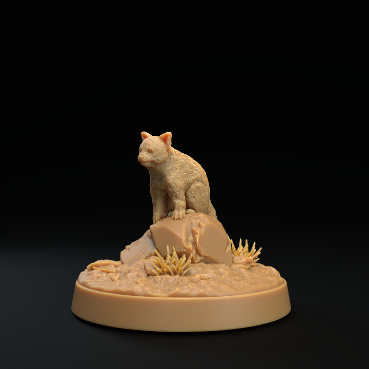 3D Printable Tanuki Red Panda | Animal Companion | PRESUPPORTED by The ...