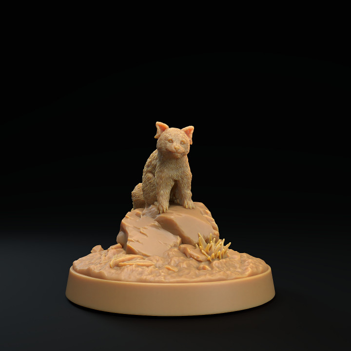 3D Printable Tanuki Red Panda | Animal Companion | PRESUPPORTED by The ...