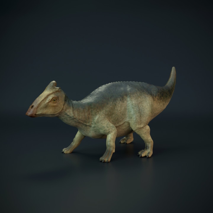 3D Printable Parasaurolophus baby standing - dinosaur by Dino and Dog