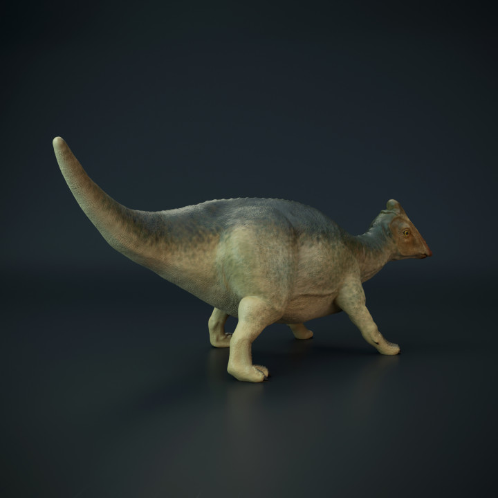 3D Printable Parasaurolophus baby standing - dinosaur by Dino and Dog