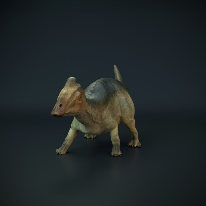 3D Printable Parasaurolophus baby standing - dinosaur by Dino and Dog