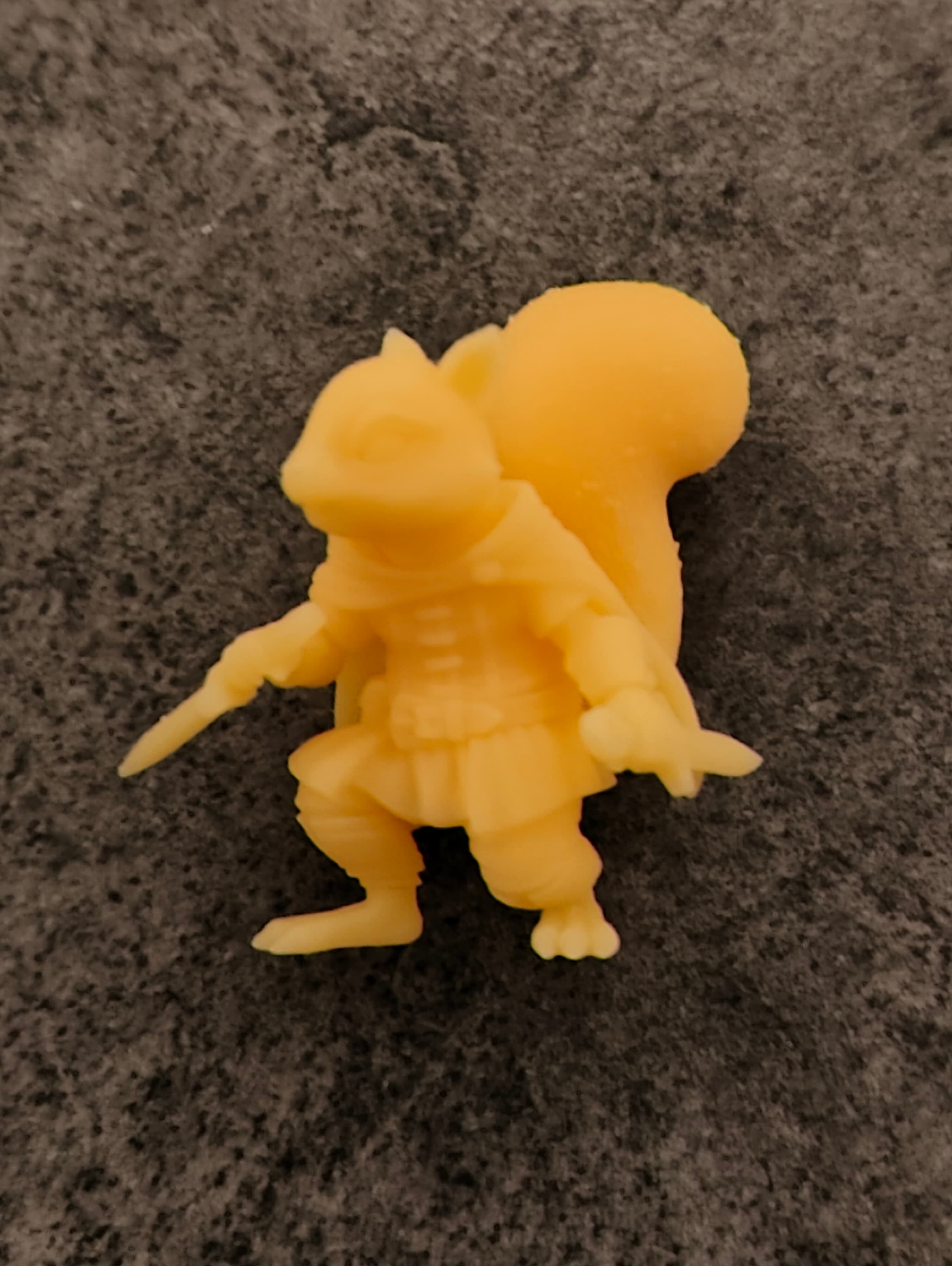 3D Printable Squirrel Rogue 1 by Goon Master