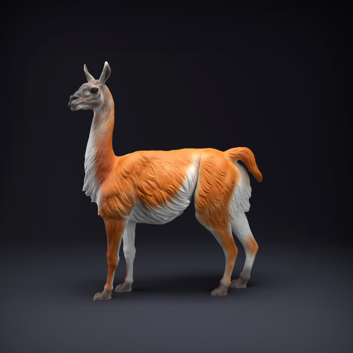 3D Printable Guanaco by Animal Den Miniatures