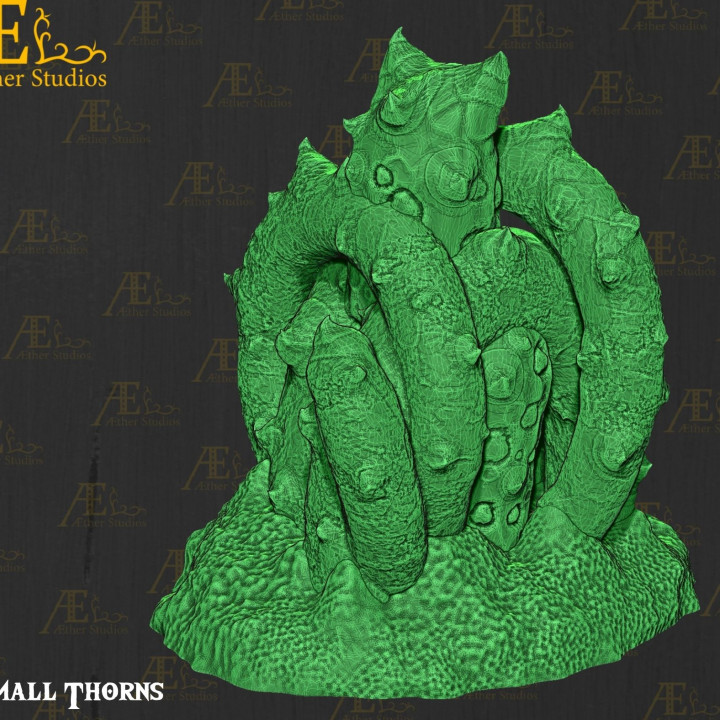 3D Printable AEFYWD04 – Into the Feywilds: Veridia by Aether Studios