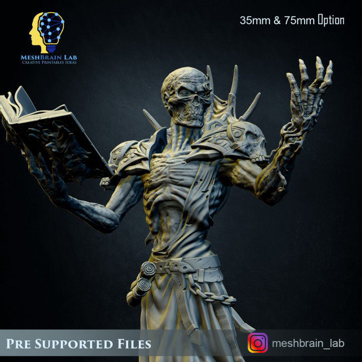 3D Printable Lich Lord Vecna by MeshBrain Lab