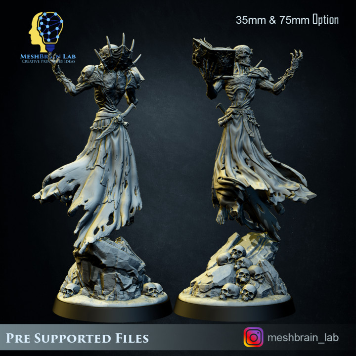 3D Printable Lich Lord Vecna by MeshBrain Lab